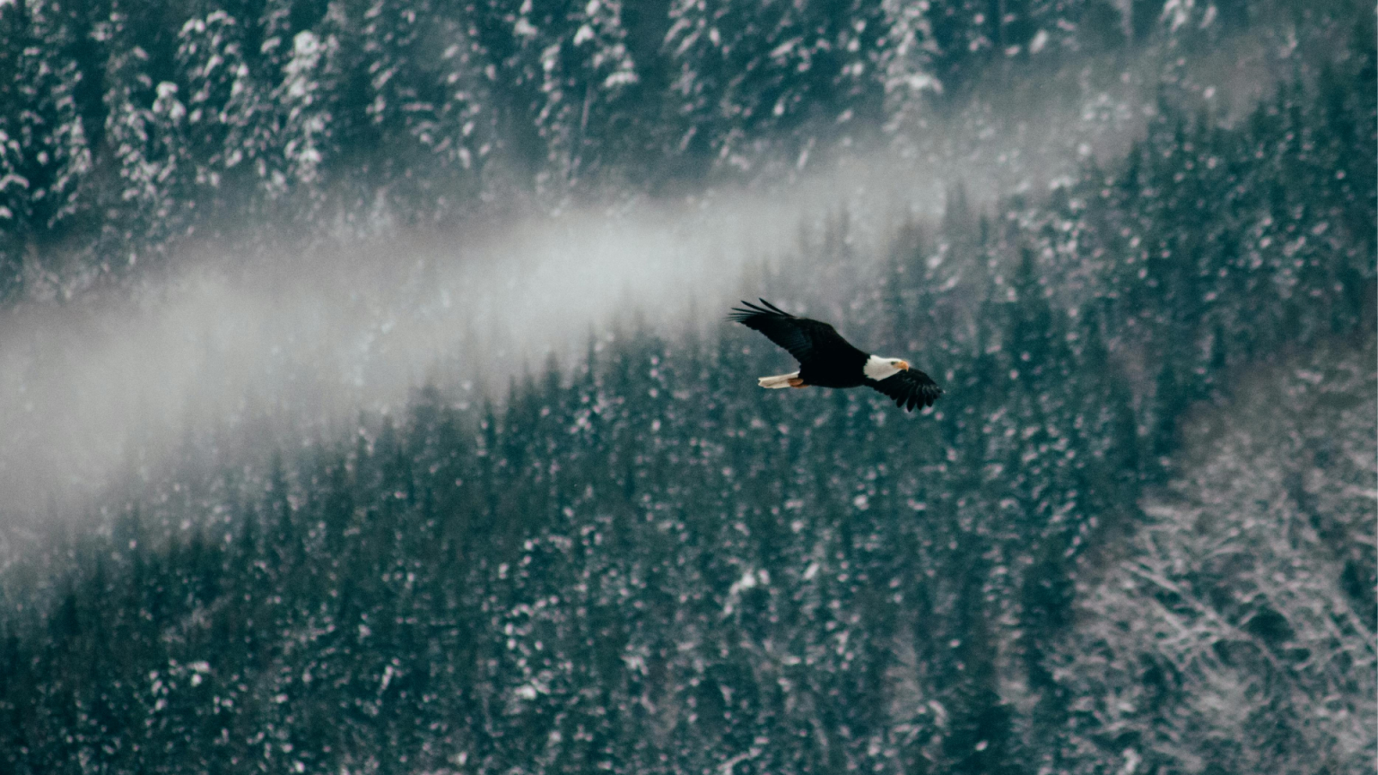 Protecting Indigenous traditional knowledge through trademarks ...