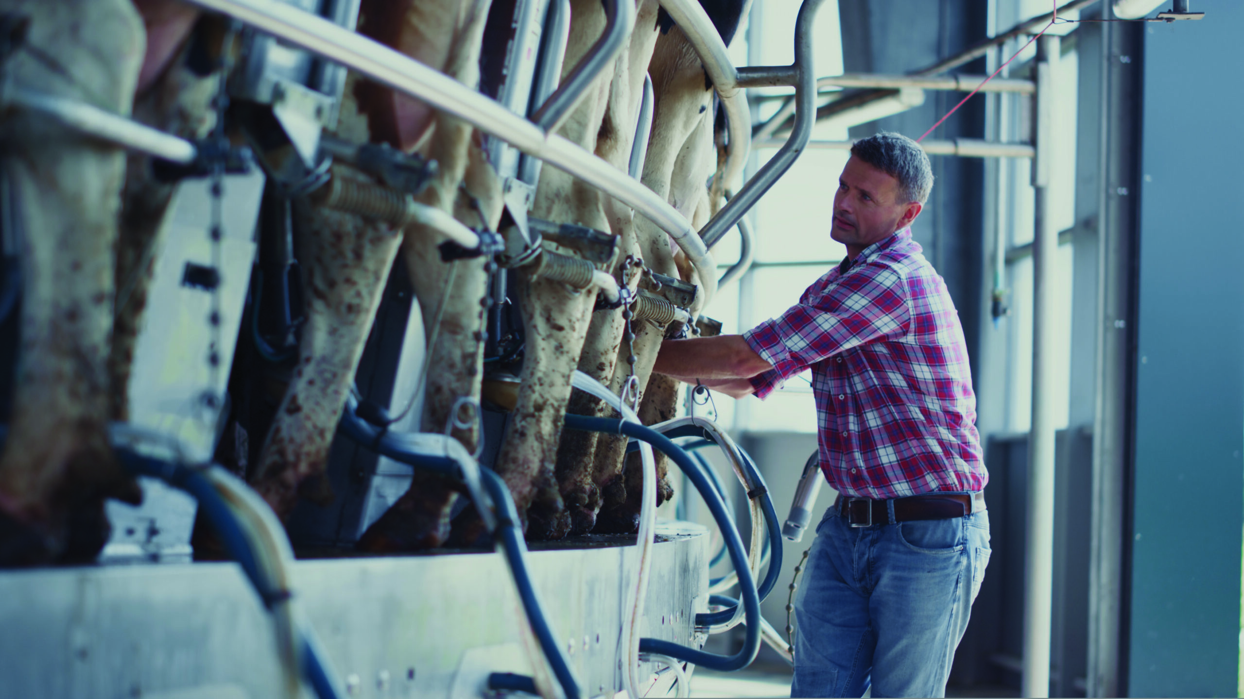 Dairy Innovation West initiative to change the face of Canadian dairy ...